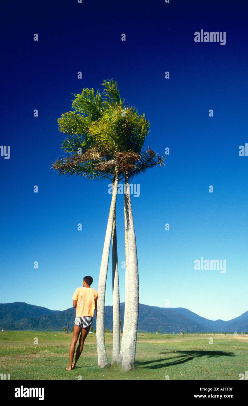 young man leaning against palm trees Stock Photo - Alamy
