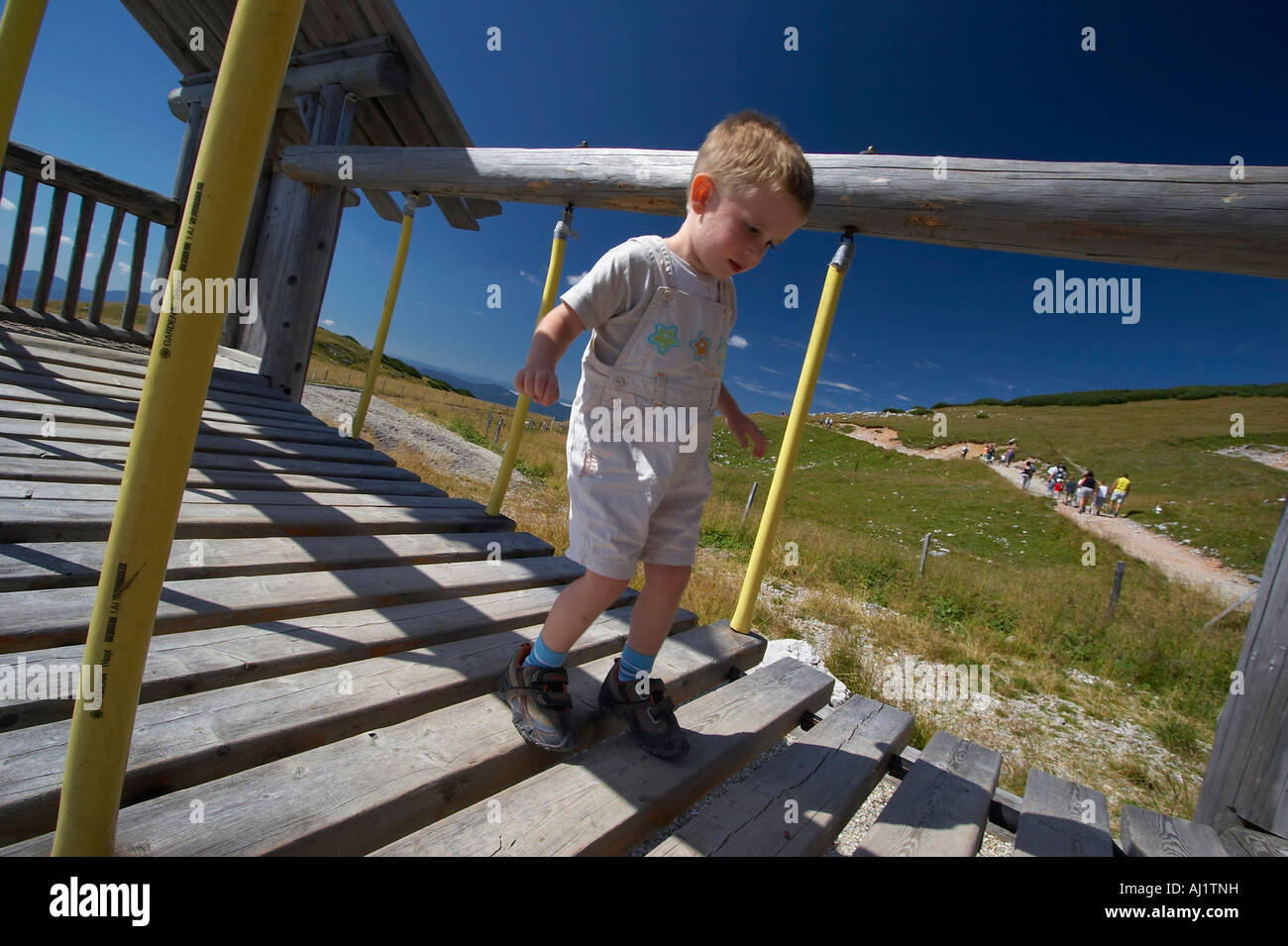 little child on plank bridge of a jungle gym Stock Photo - Alamy