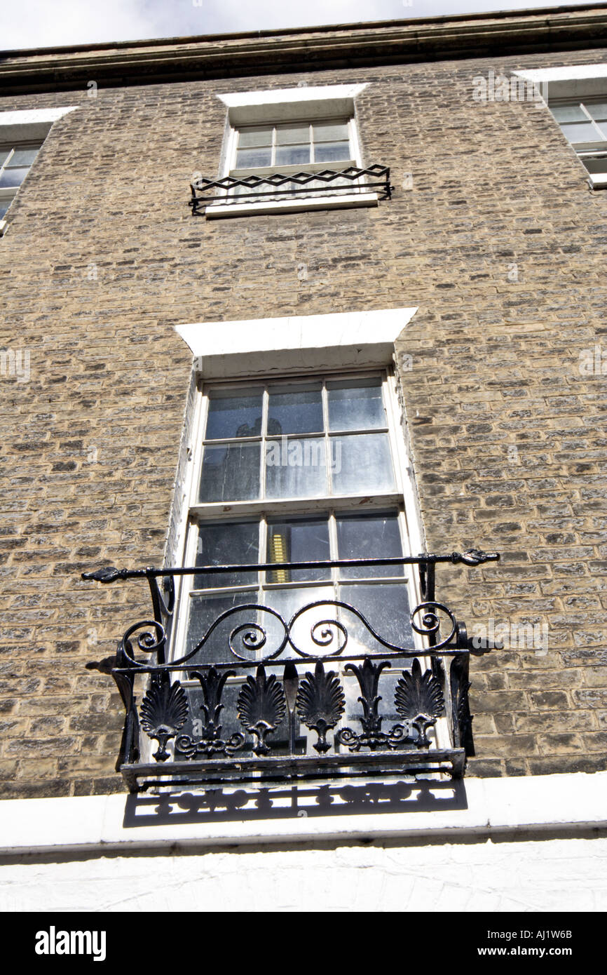 Georgian decorative ironwork window box with palm motif and six over ...