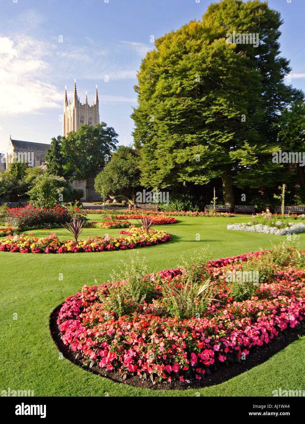 Abbey Gardens with the completed tower of Saint Edmundsbury Cathedral ...
