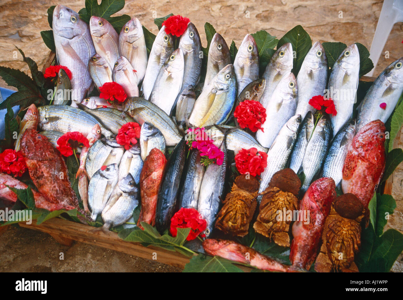 fresh fish display restaurant Stock Photo - Alamy