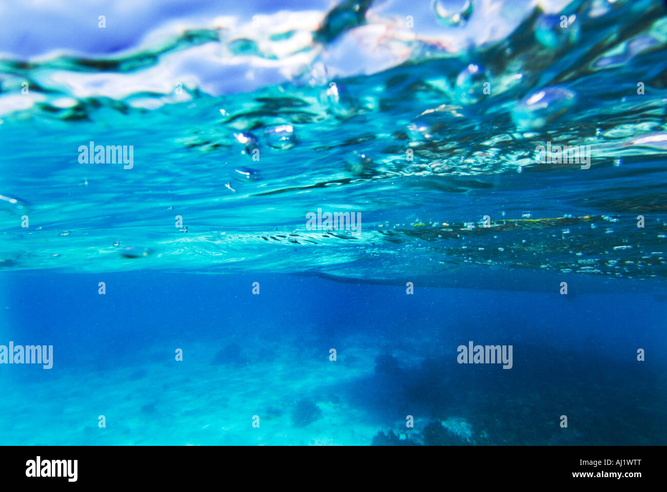 Waterline Ocean