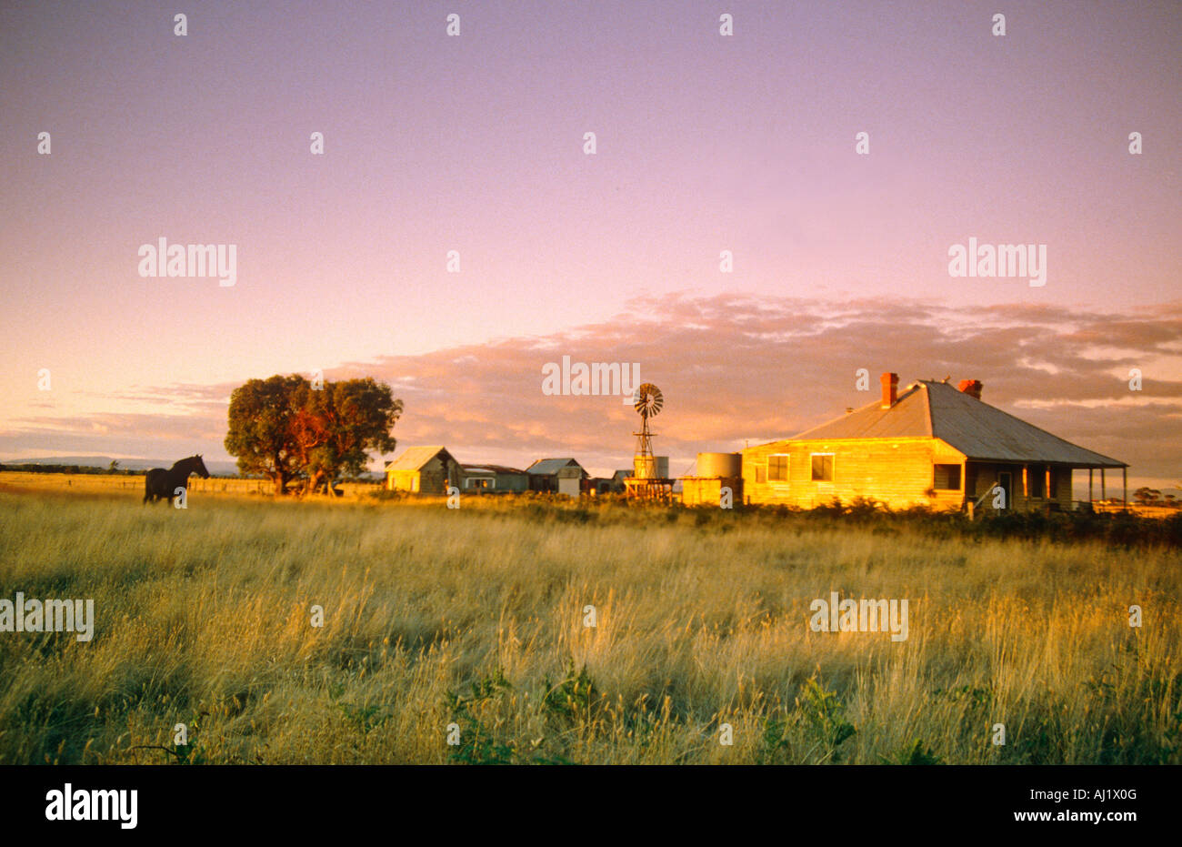 Australian rural homestead at sunset with horse Stock Photo - Alamy