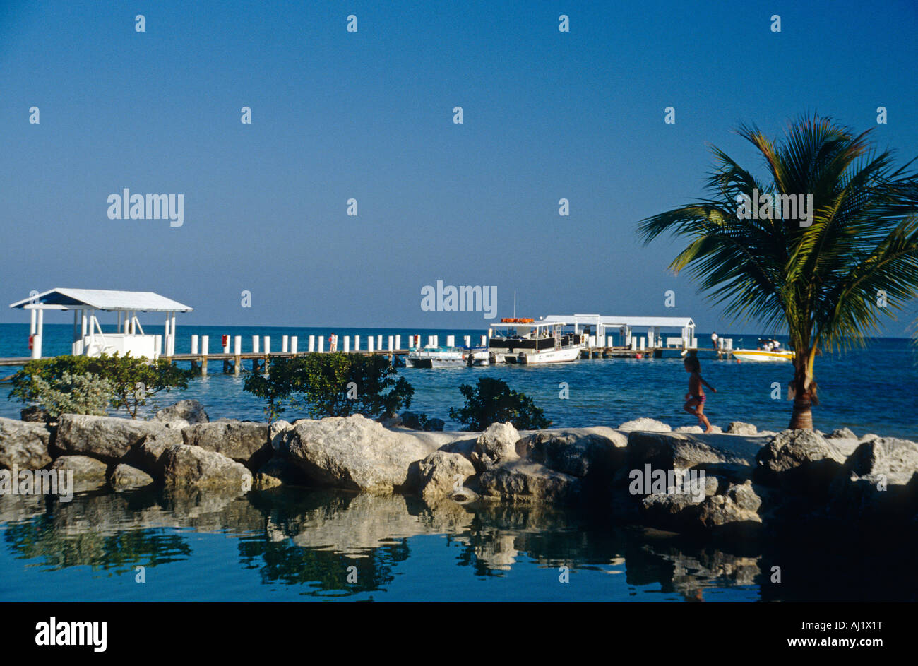 view of palm tree jetty with blue sky at Florida keys Stock Photo - Alamy