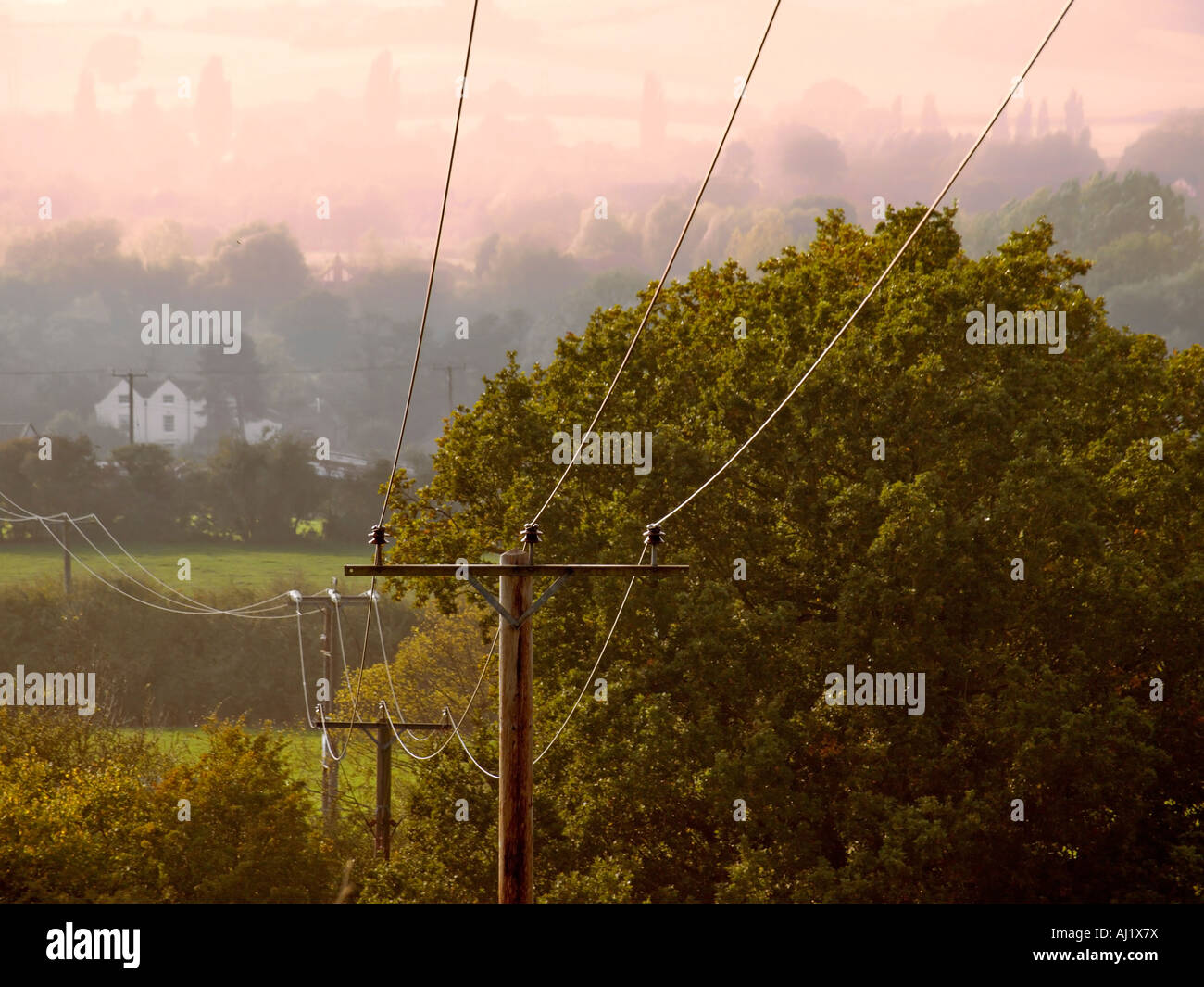 telephone cables and wires Stock Photo - Alamy