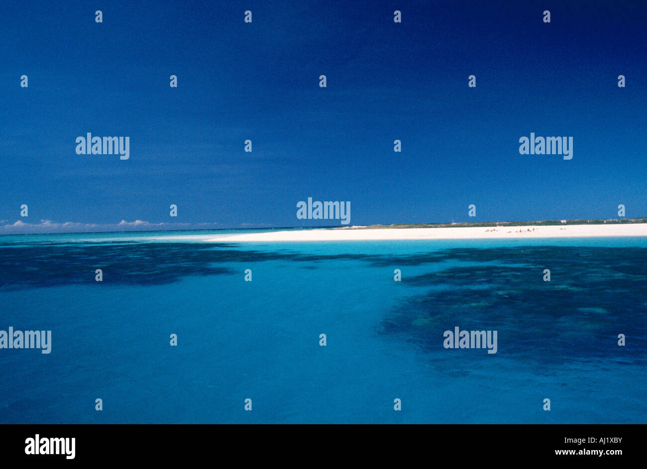 sand cay barrier reef Stock Photo - Alamy