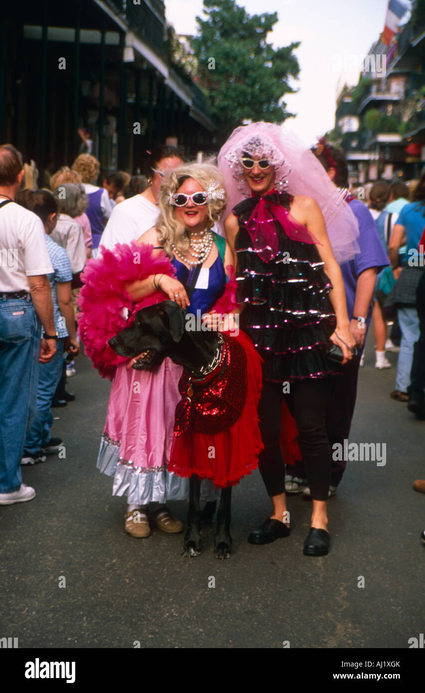 New Orleans dog carnival Stock Photo - Alamy