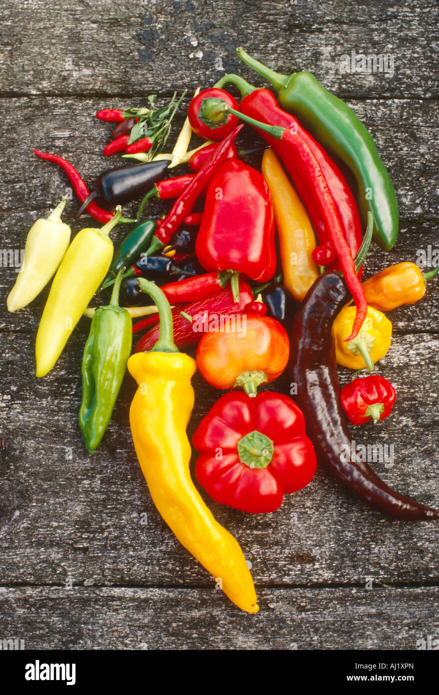 chillies different types Stock Photo - Alamy