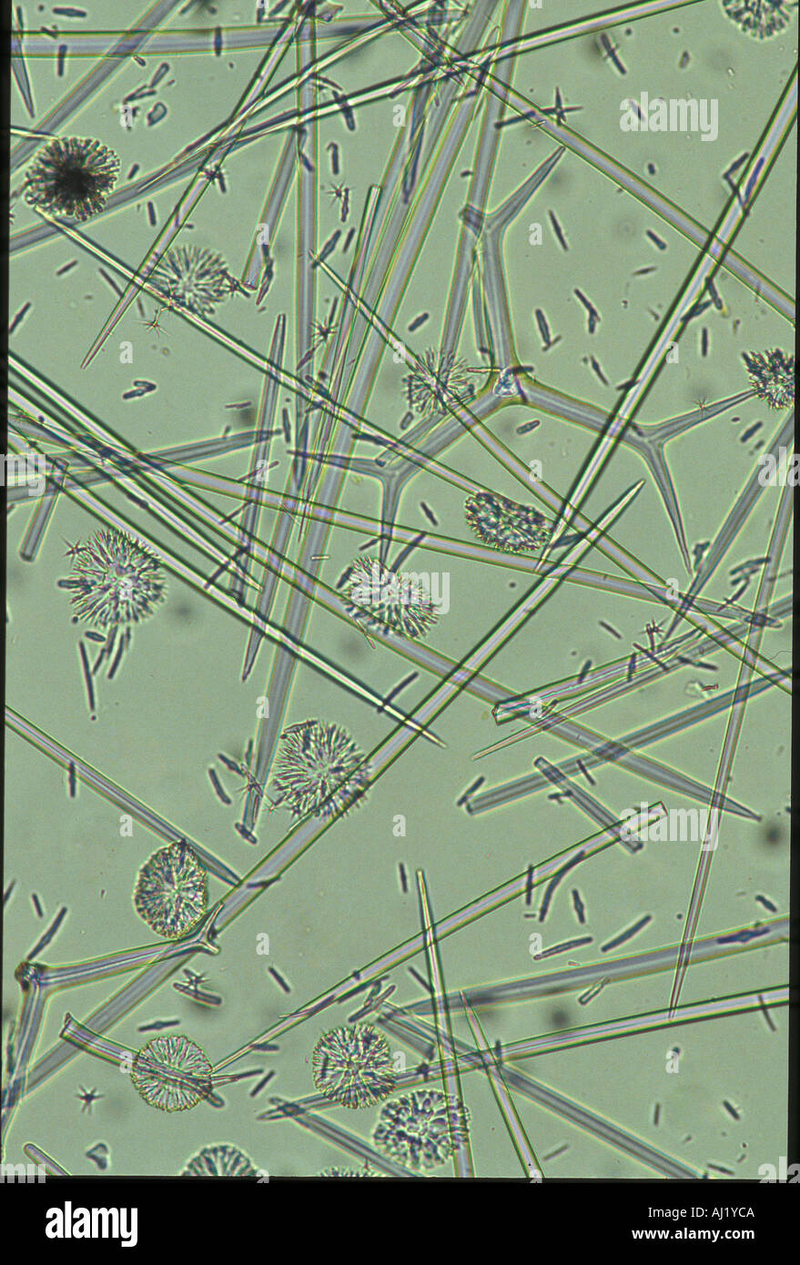 Spicules hi-res stock photography and images - Alamy