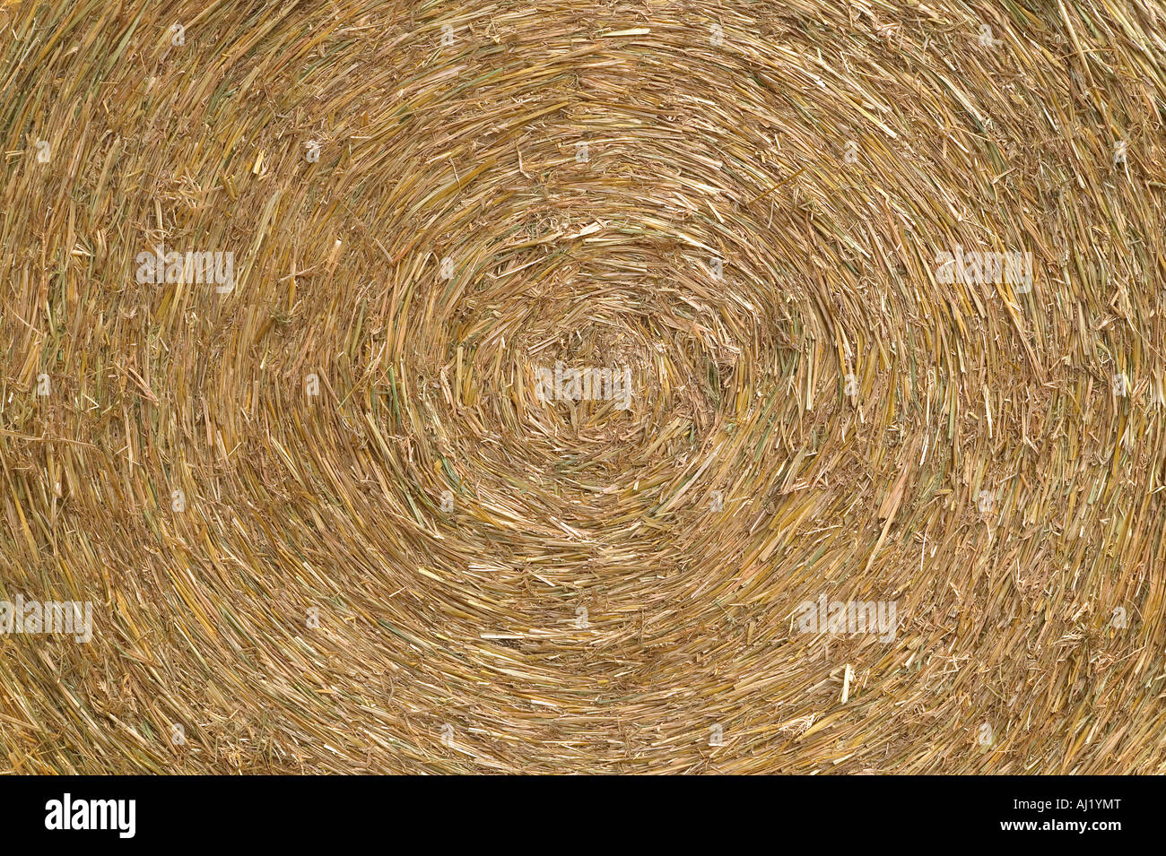 Close up of a circular hay bale Stock Photo - Alamy