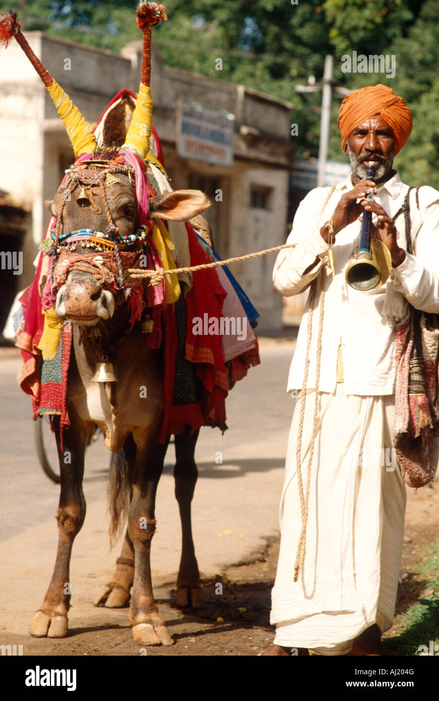 Indian man playing musical instrument with decorated cow Stock Photo ...