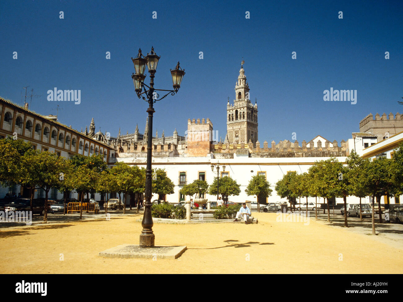 Seville square orange trees hi-res stock photography and images - Alamy