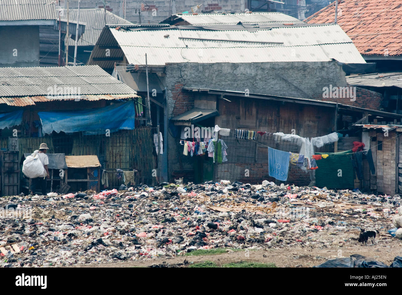 Poor Residental Slum Bordering a Garbage Dump Scavanger Picks through ...