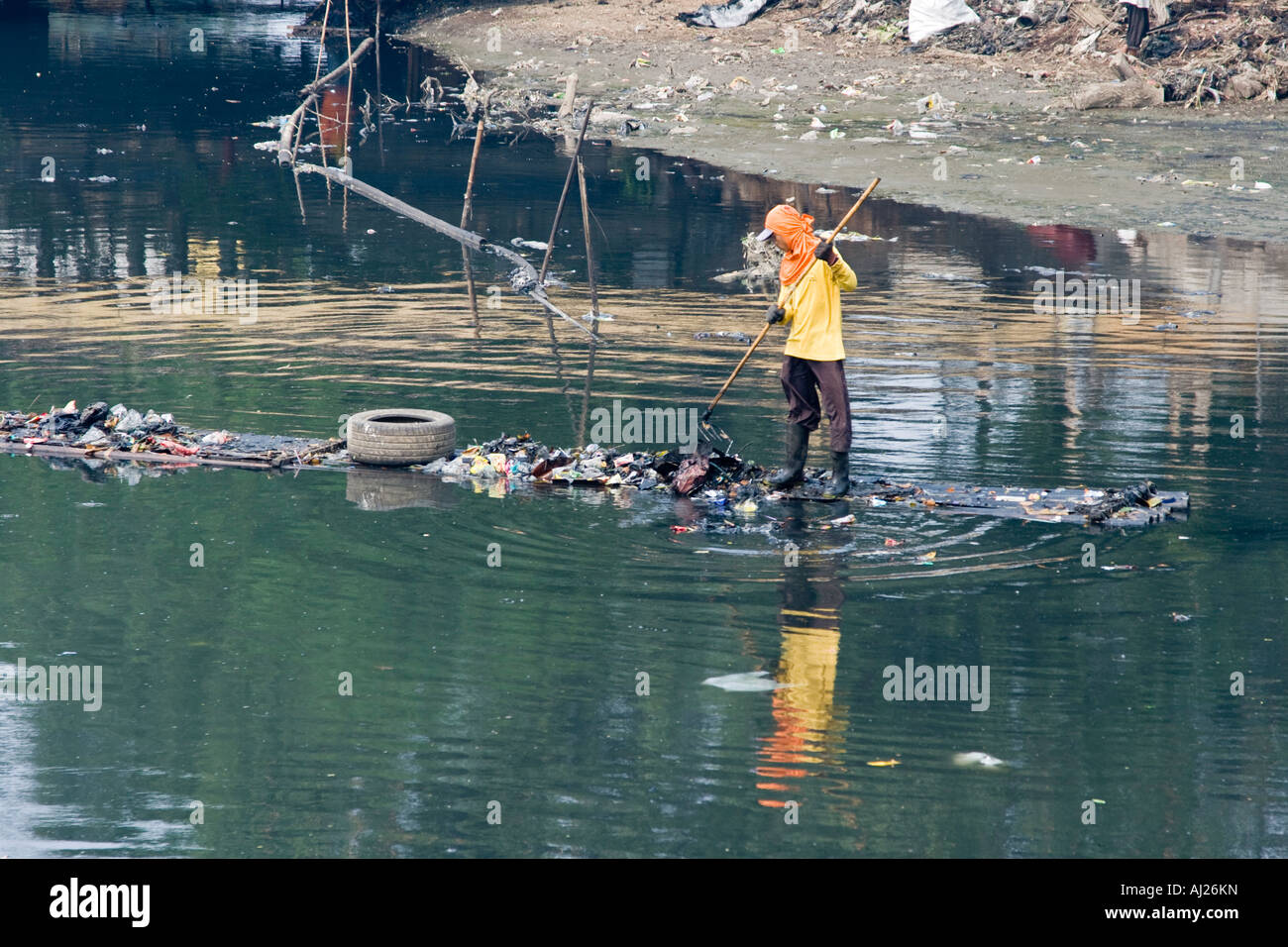 Rubbish scavanging hi-res stock photography and images - Alamy