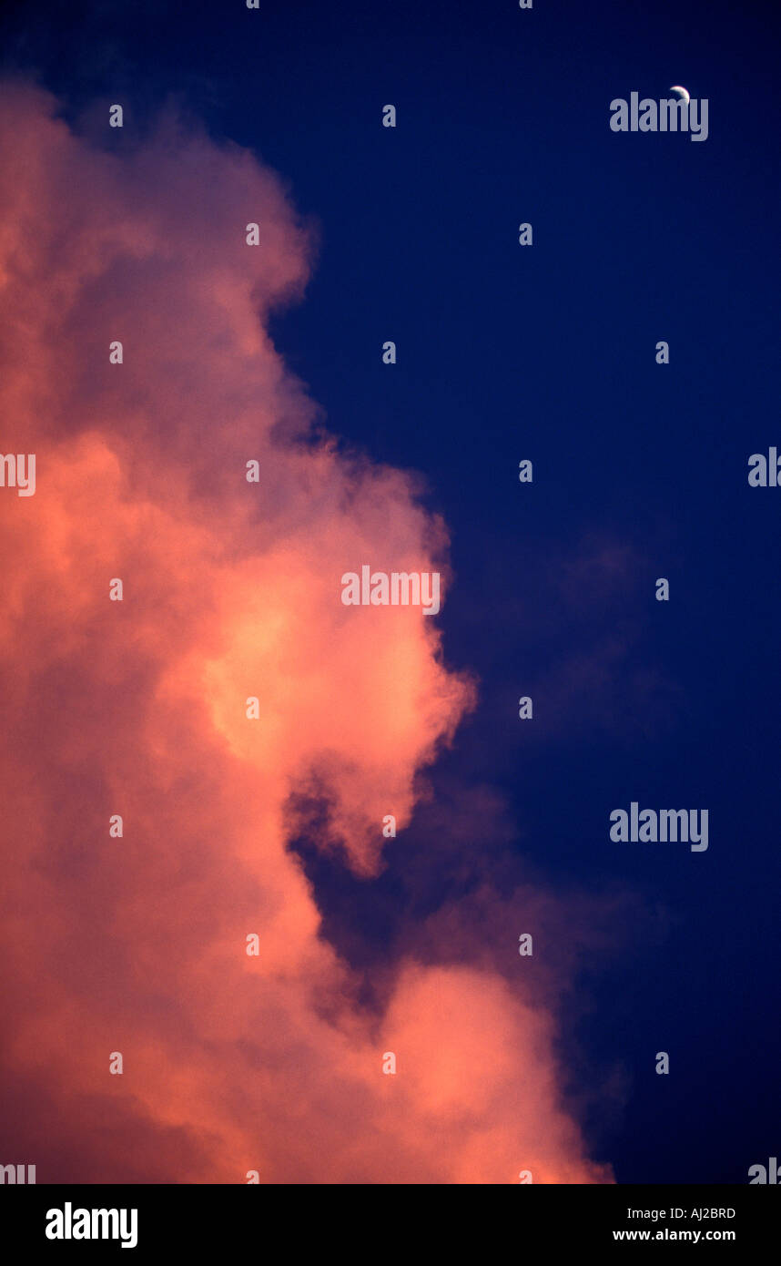 Africa Zimbabwe Victoria Falls National Park Gibbous moon and clearing ...