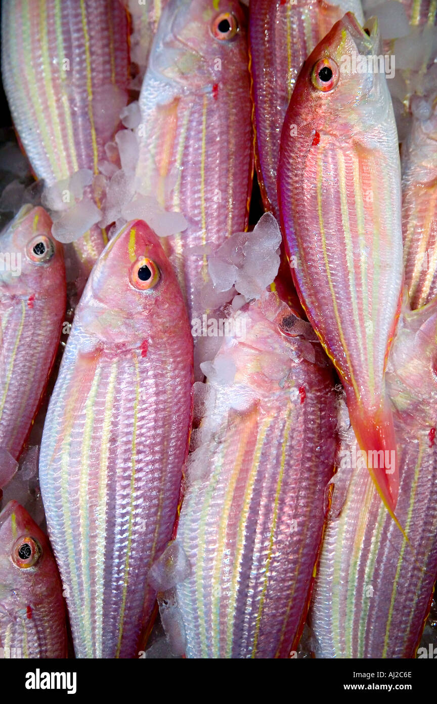 Fish in Hong Kong Street Market Stock Photo - Alamy