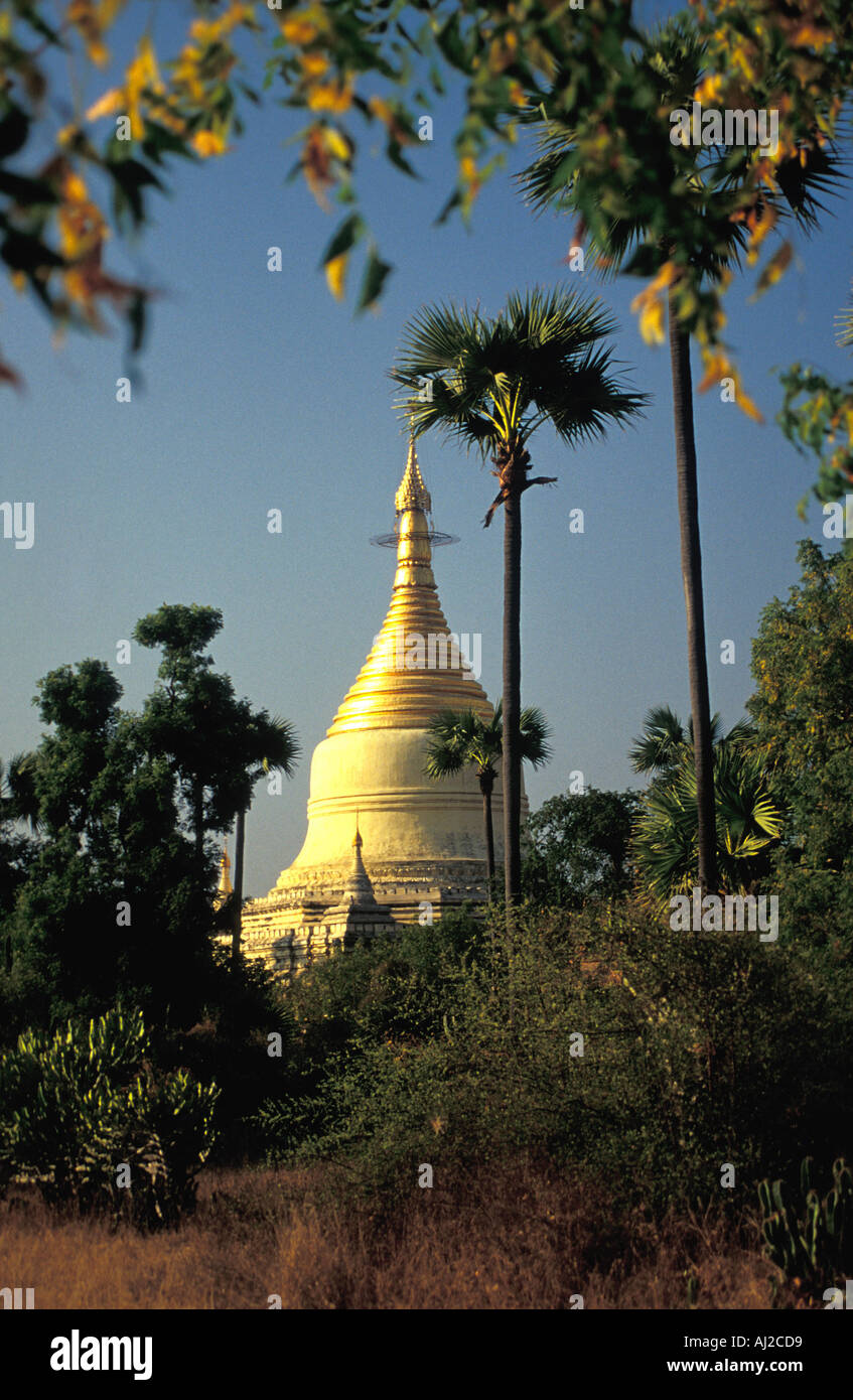 Gold Spire of a Buddhist Stupa Hidden In the Trees, Bagan (Burma Stock ...