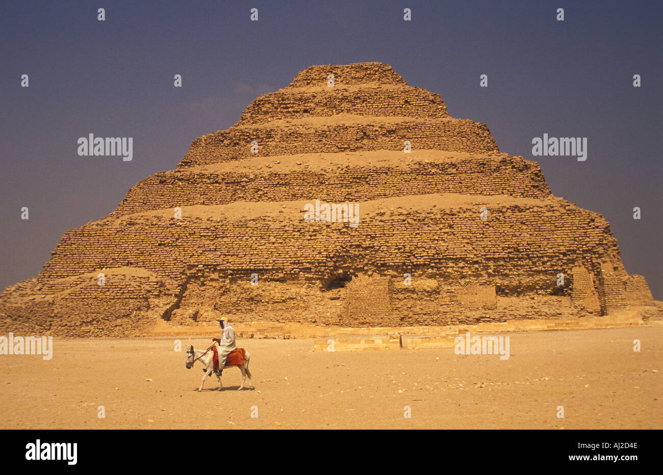 Donkey pyramid giza egypt hi-res stock photography and images - Alamy