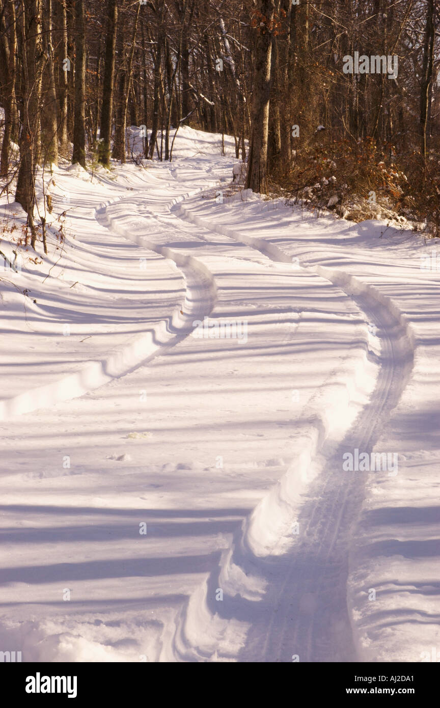 Sinuous car tracks in snow through woods Stock Photo - Alamy