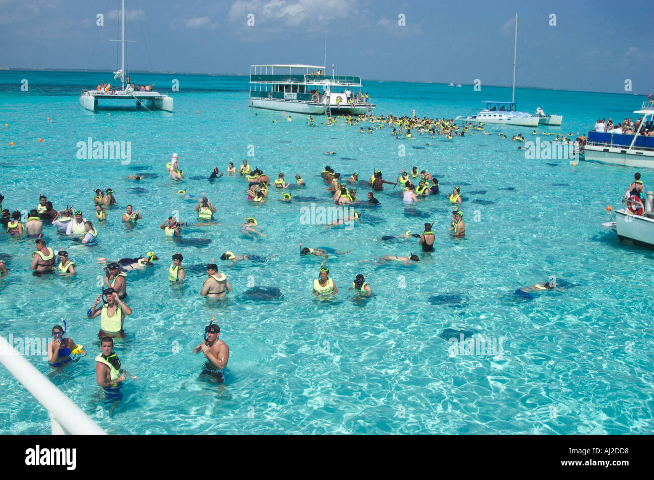 Swim with the sting rays attraction Grand Cayman Stock Photo - Alamy