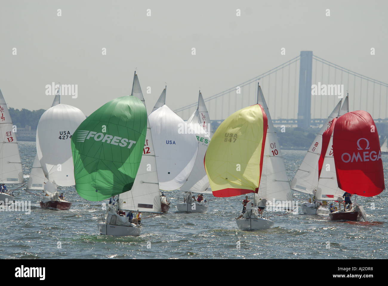 Sailing teams from 12 countries aboard of a fleet of identical J 24 ...