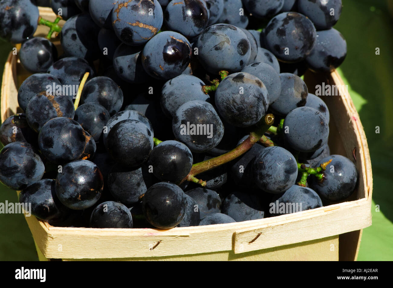 Concord wine hi-res stock photography and images - Alamy