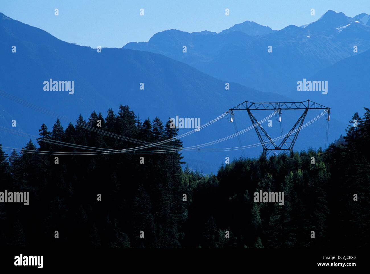 Canada British Columbia Power lines above Green River in coastal ...