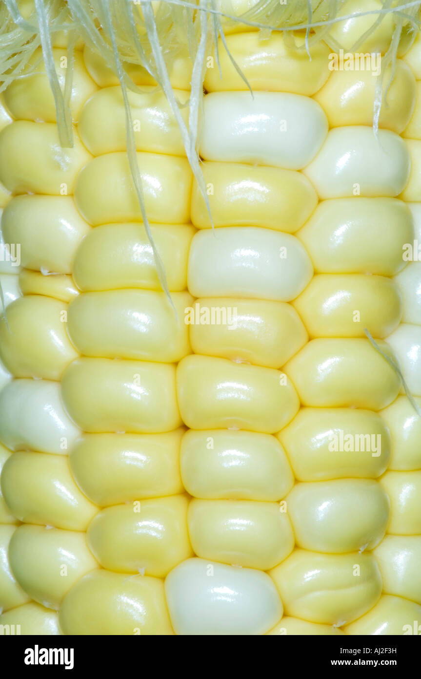 Sweet corn, kernel close-up Stock Photo - Alamy