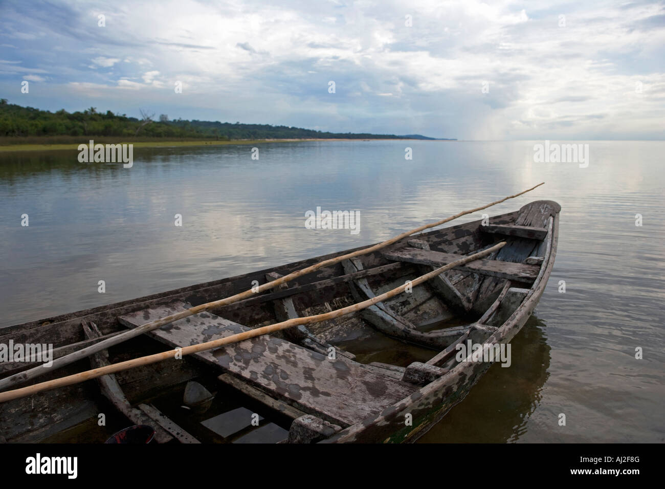 Fish dug into sand hi-res stock photography and images - Alamy