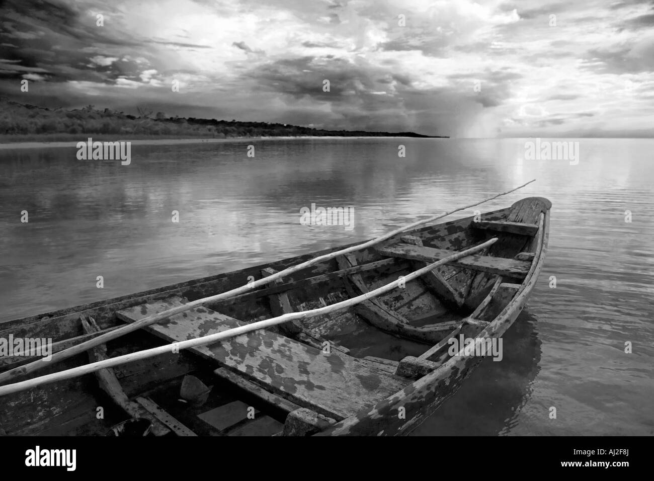 Fish Dug Into Sand High Resolution Stock Photography and Images - Alamy