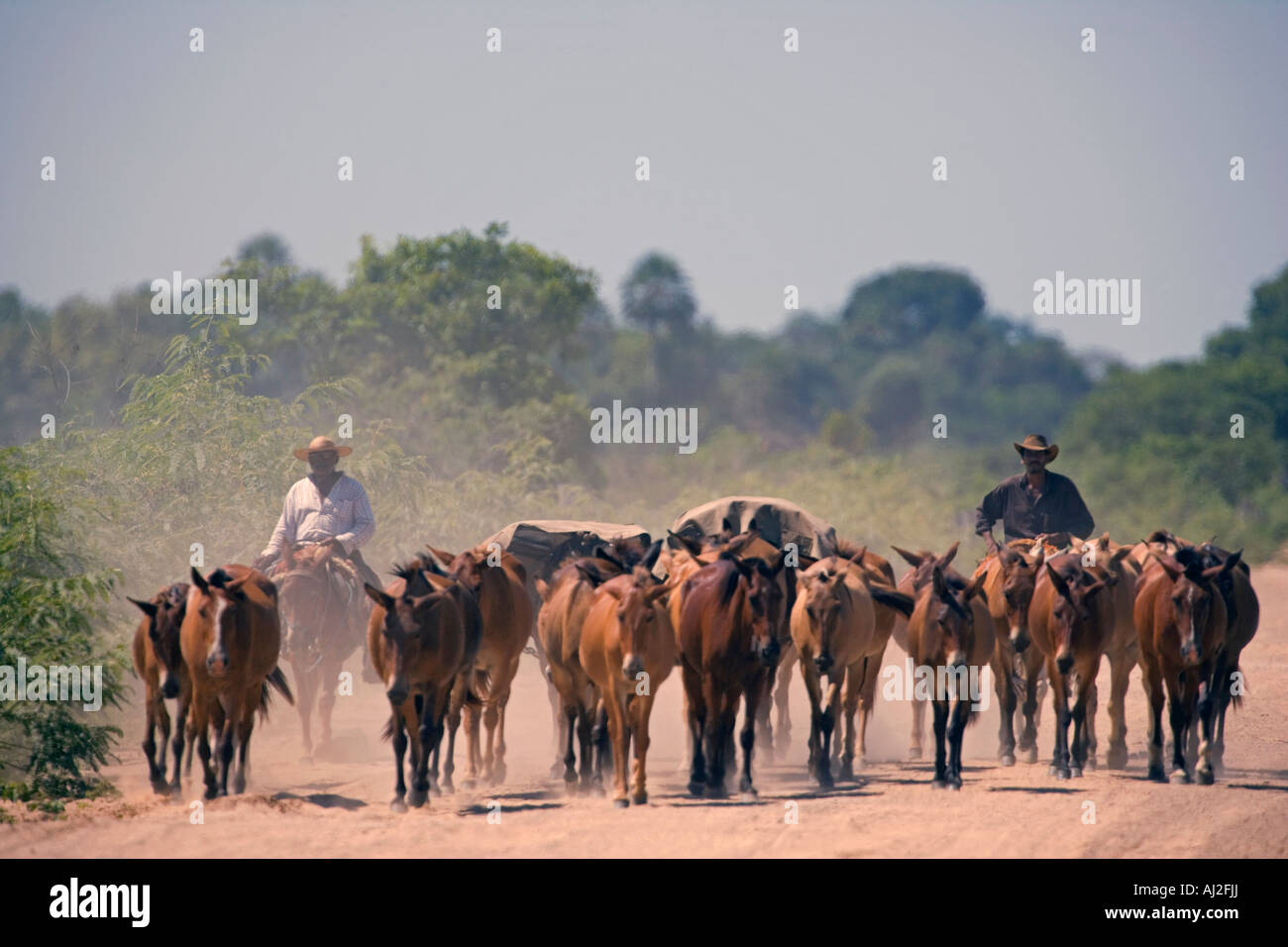 Dry dusty farm track hi-res stock photography and images - Alamy