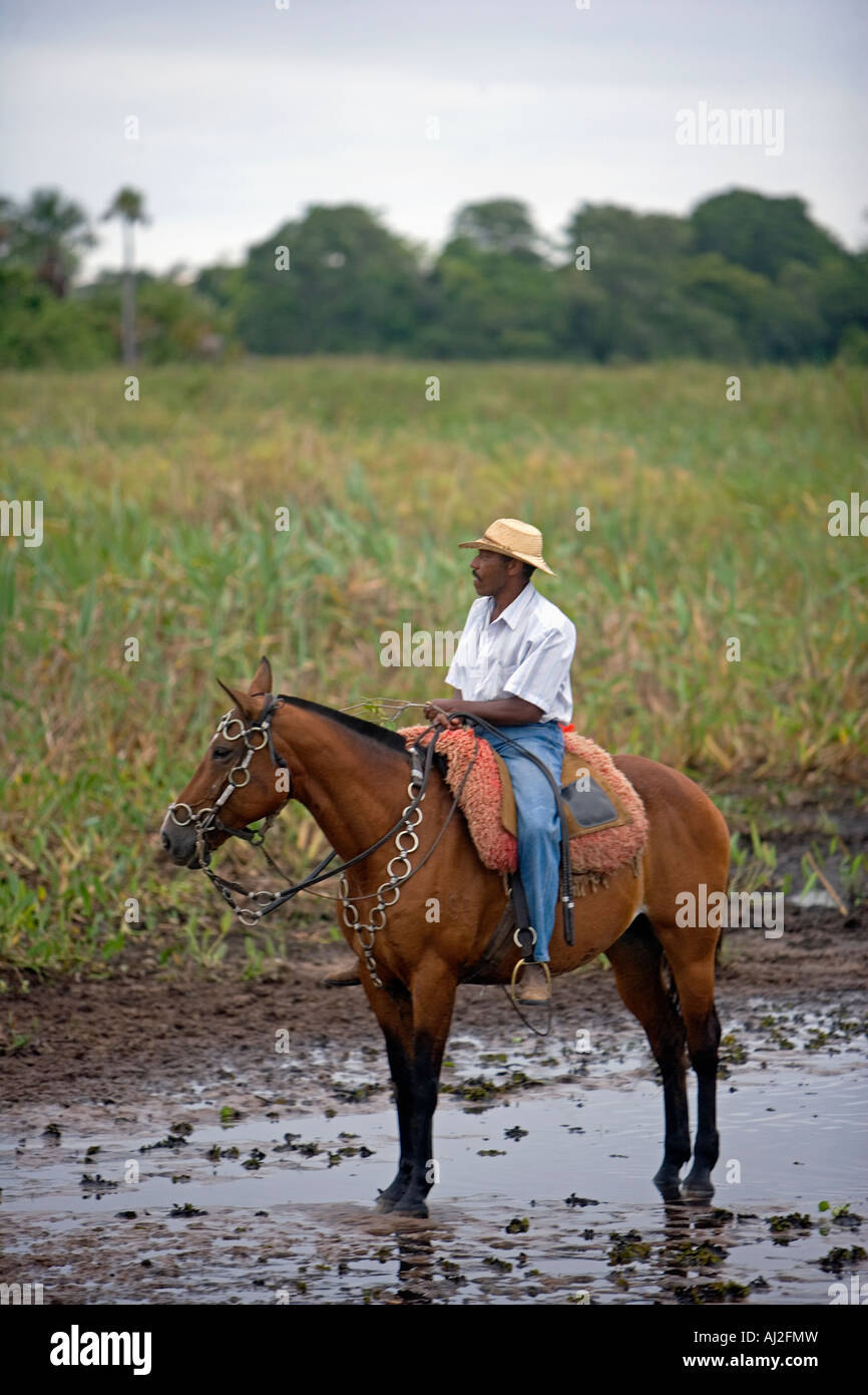 Traditional Pantanal Cowboys, Peao Pantaneiro, at working farm and ...