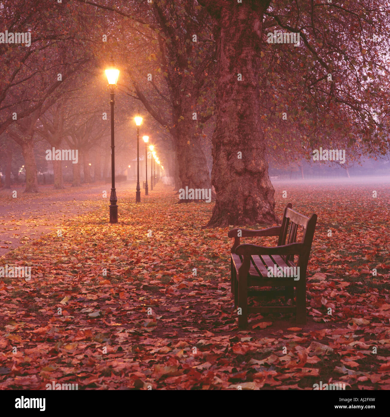 Battersea square hi-res stock photography and images - Alamy