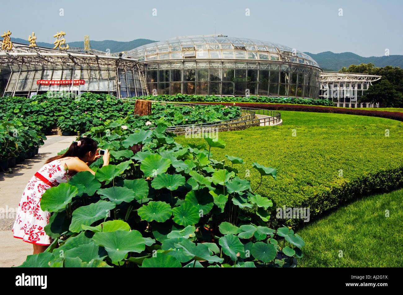 Beijing botanical gardens hi-res stock photography and images - Alamy
