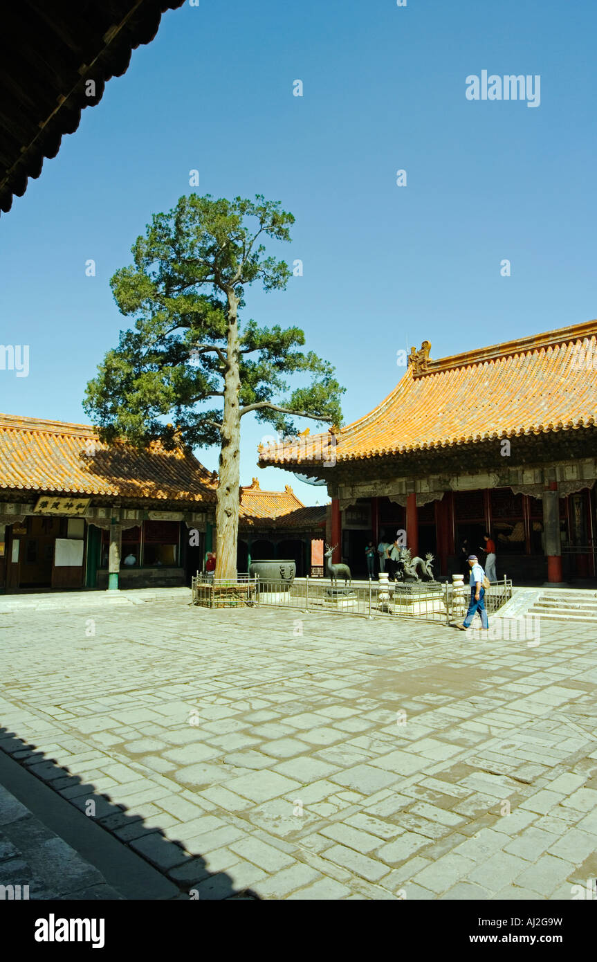 The Forbidden City Palace Museum, Zijin Cheng, Beijing, China Stock ...