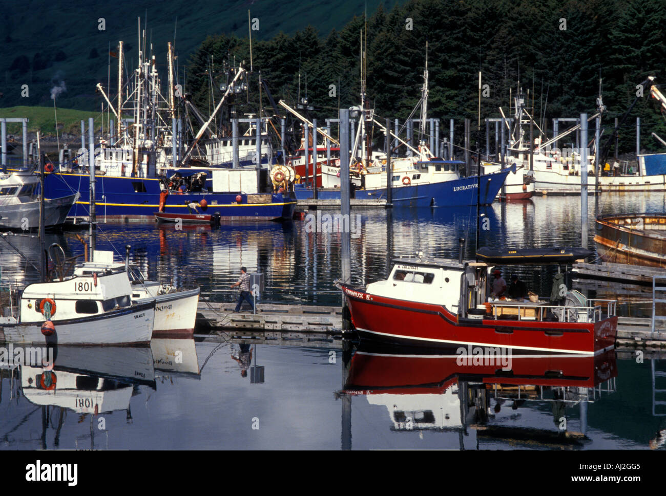 USA Alaska Commercial fishing boats fill boat harbor before halibut ...