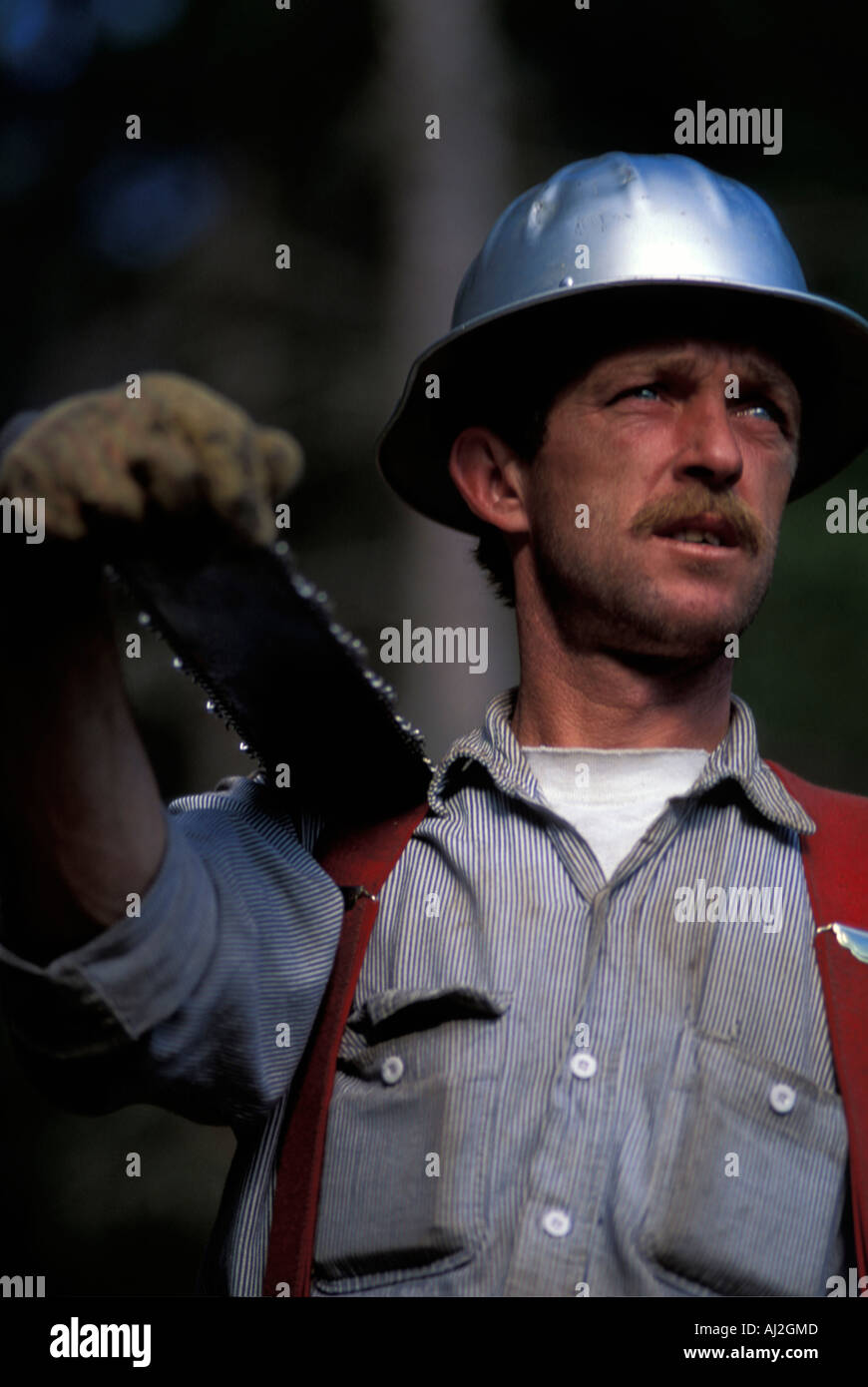 George mcdonald hi-res stock photography and images - Alamy