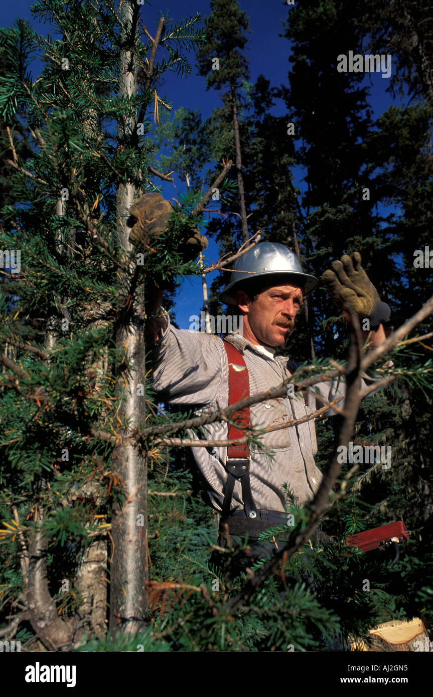 Canada British Columbia MR Ron McDonald works with logging crew at ...