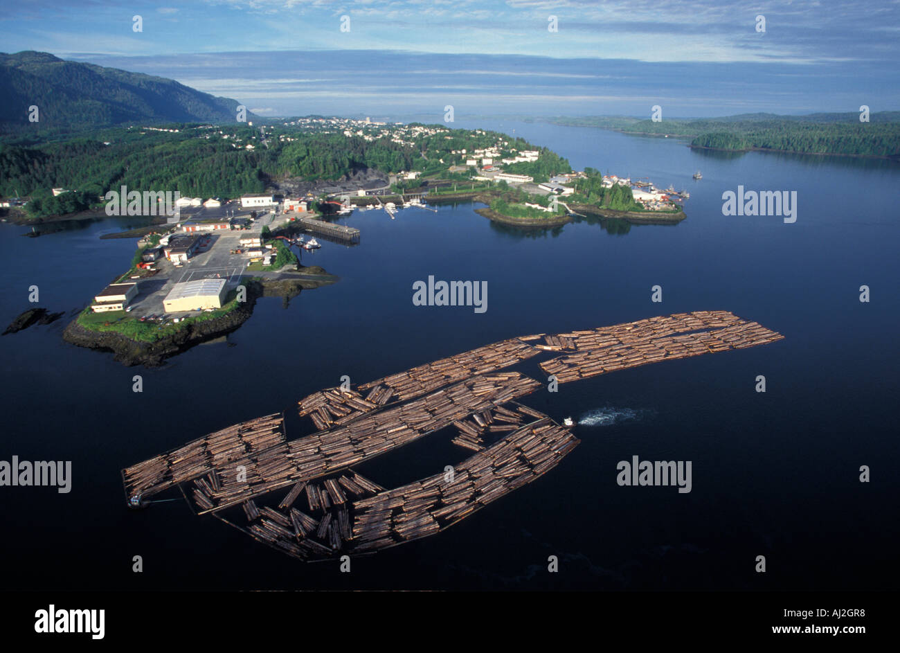 Log mammoth trees hi-res stock photography and images - Alamy