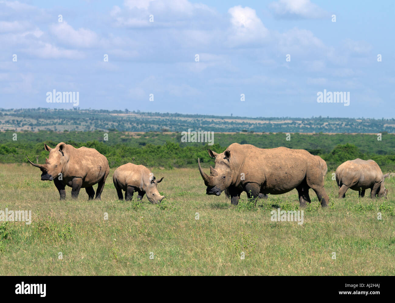 Solio sanctuary hi-res stock photography and images - Alamy
