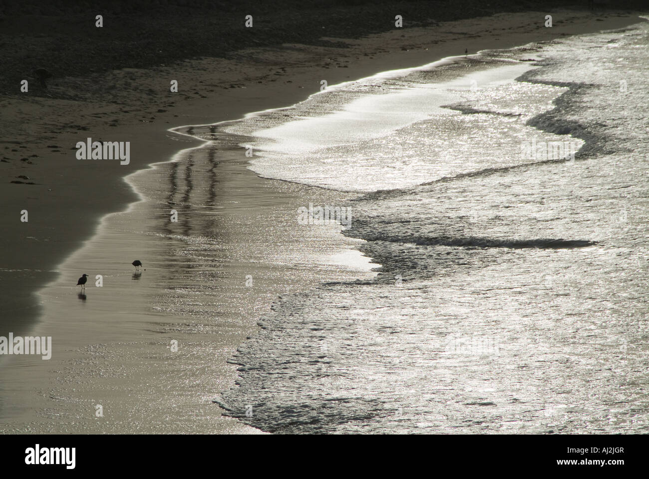 Aerial View Of Wet Sand & Waves With Reflections, Ventura Beach ...