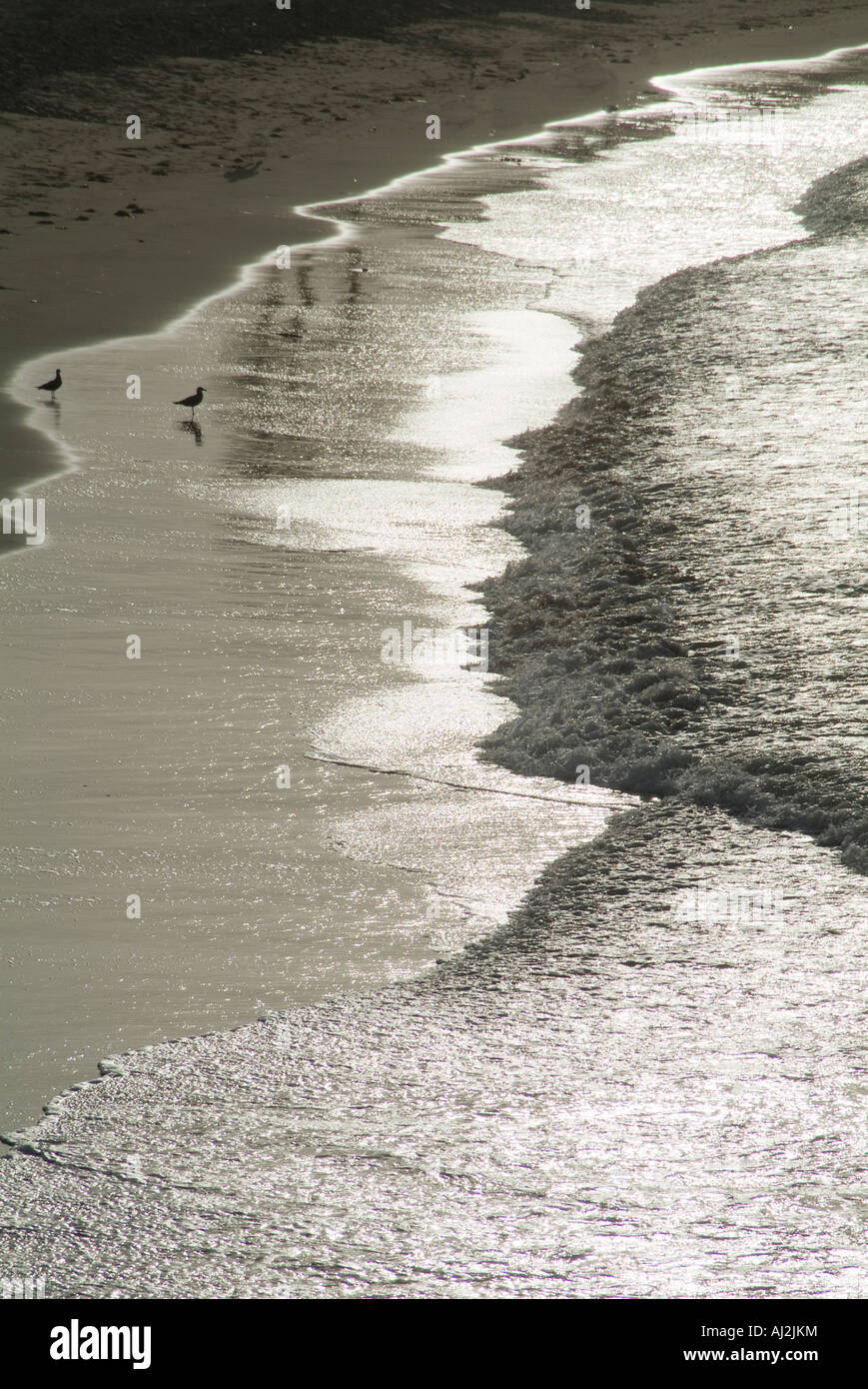 Aerial View Of Wet Sand & Waves With Reflections, Ventura Beach ...