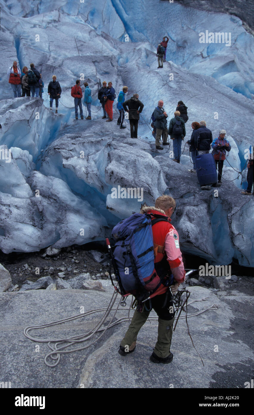 Europe Norway Crowds of climbers on Nigardsbreen Glacier in ...