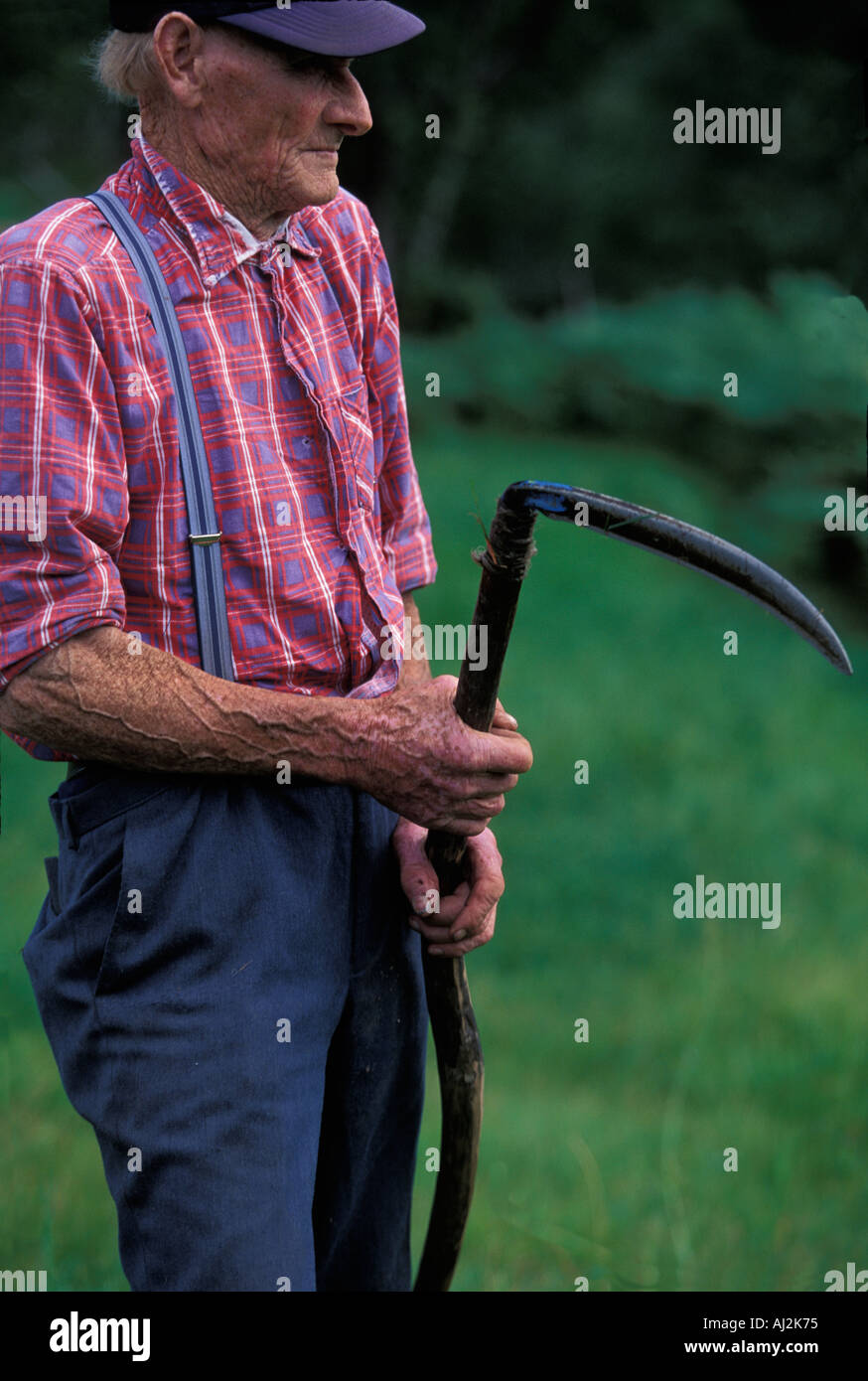 Old farmer works in field with traditional scythe near village of ...
