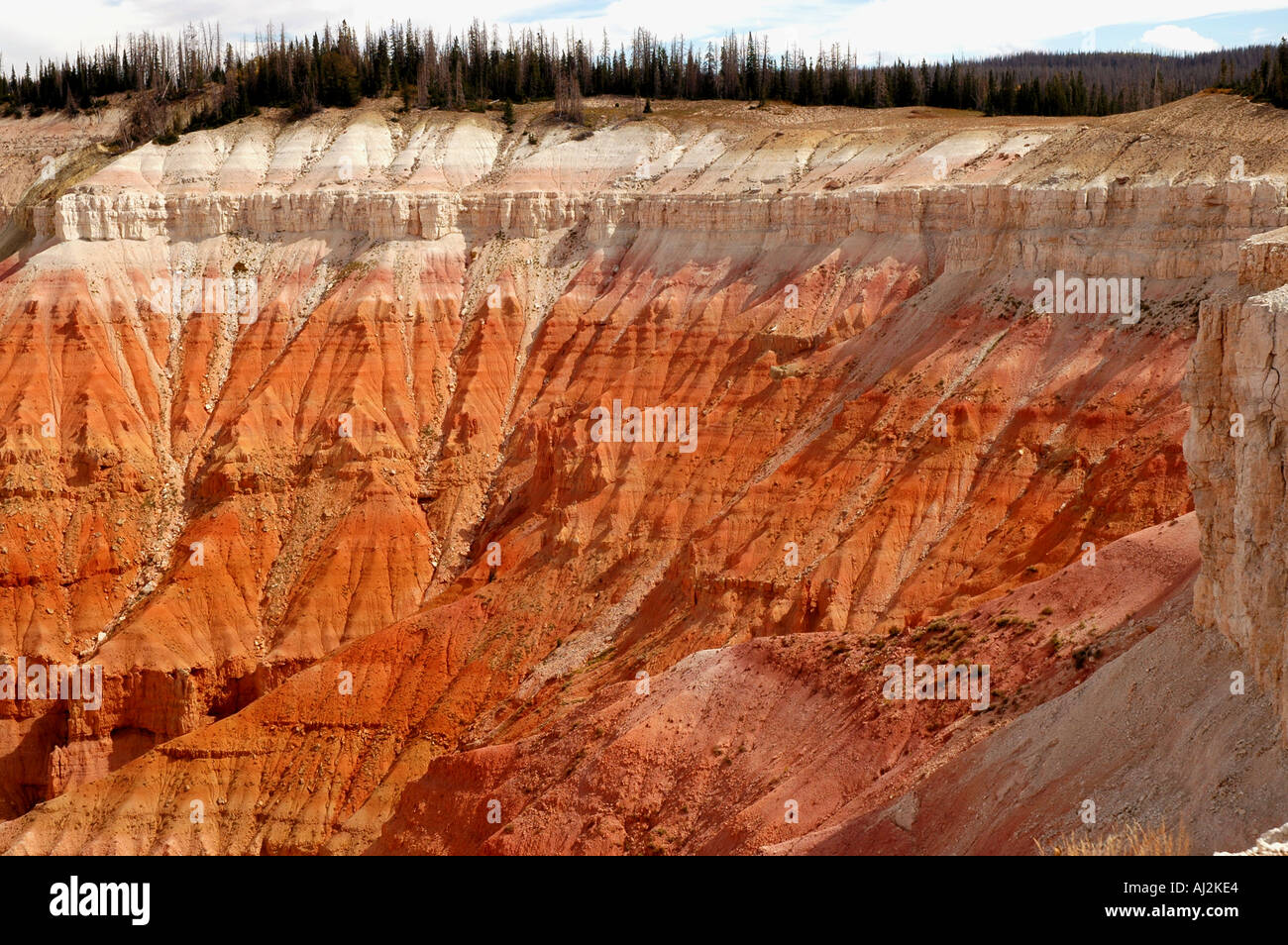 Utah Cedar Breaks National Monument The Amphitheater from Point Supreme ...