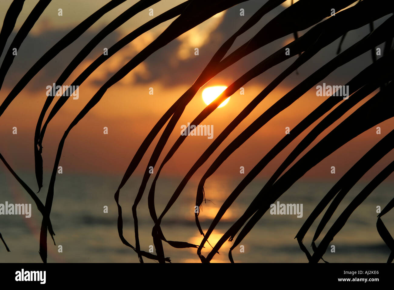 The coast beach of Talpe in Sri Lanka Stock Photo - Alamy