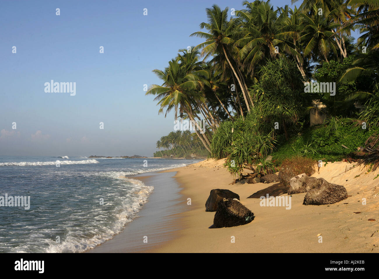 Talpe hi-res stock photography and images - Alamy