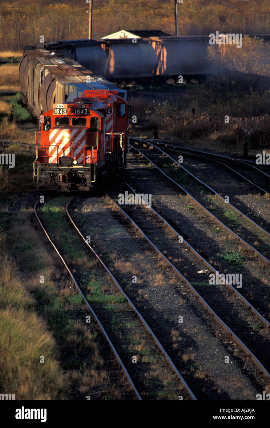 Canada Ontario Locomotive and freight cars travel through Canadian ...