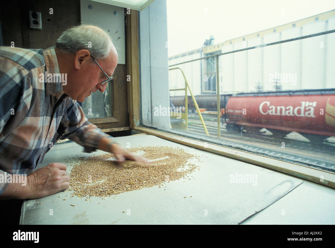 Canada Ontario MR Ted Roach inspects grain at Saskatchewan Wheat Pool ...