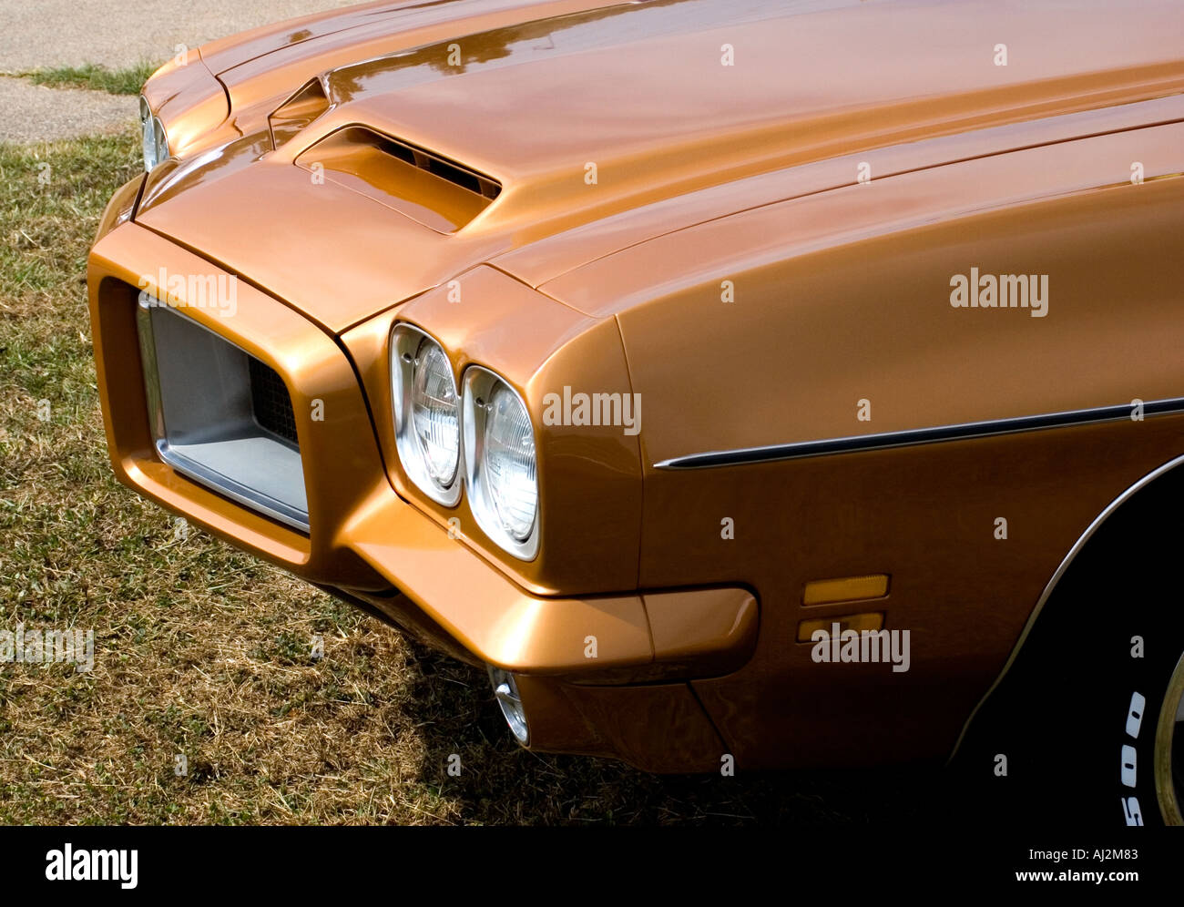Front side profile view hi-res stock photography and images - Alamy